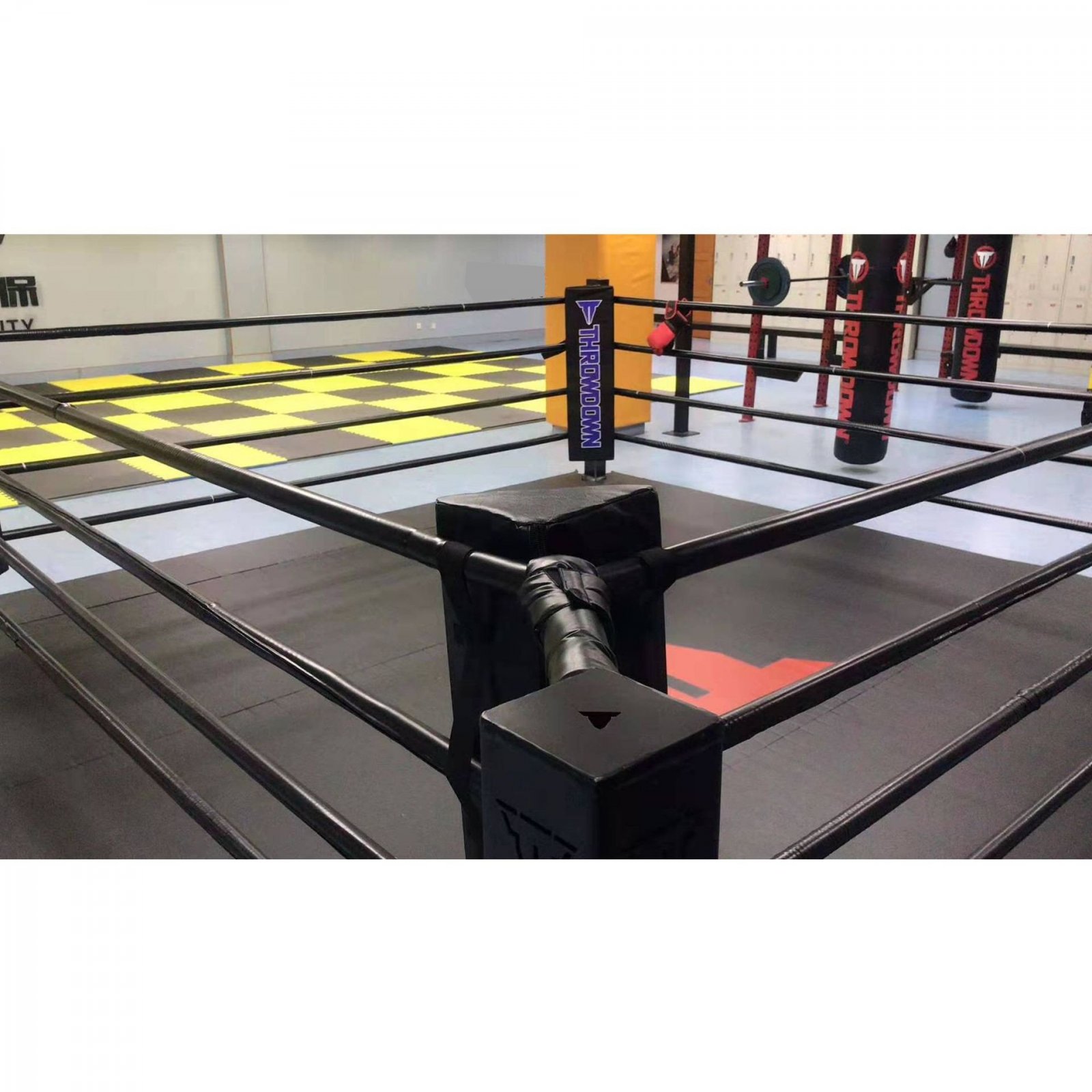 Trùm bán thi công sàn lồng đài tập luyện thi đấu võ thuật tổng hợp MMA ...